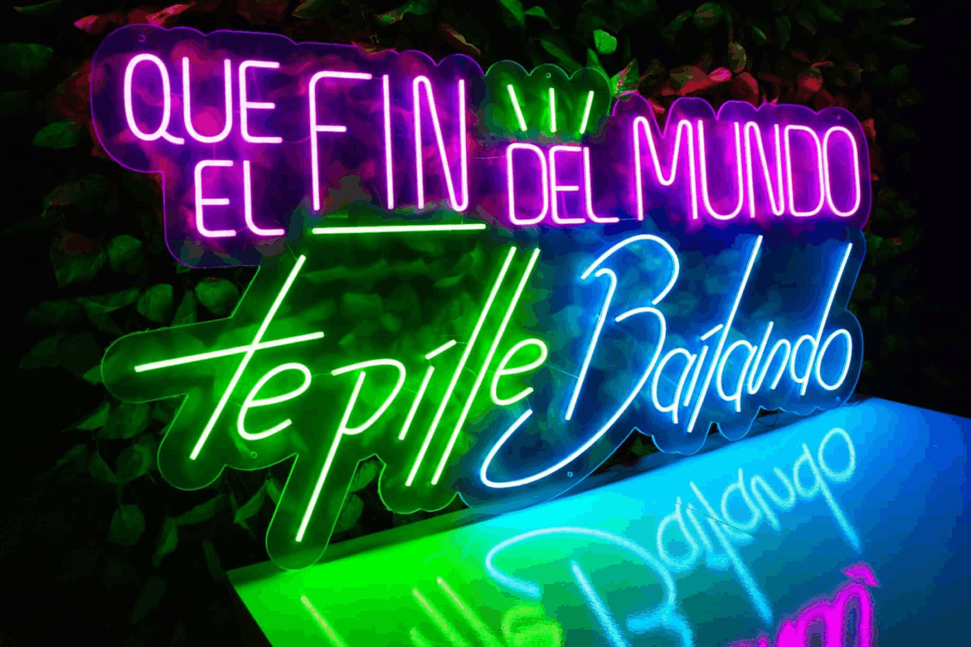 ℹ Todo sobre el Corroncho: El Pez Colombiano Fascinante ️